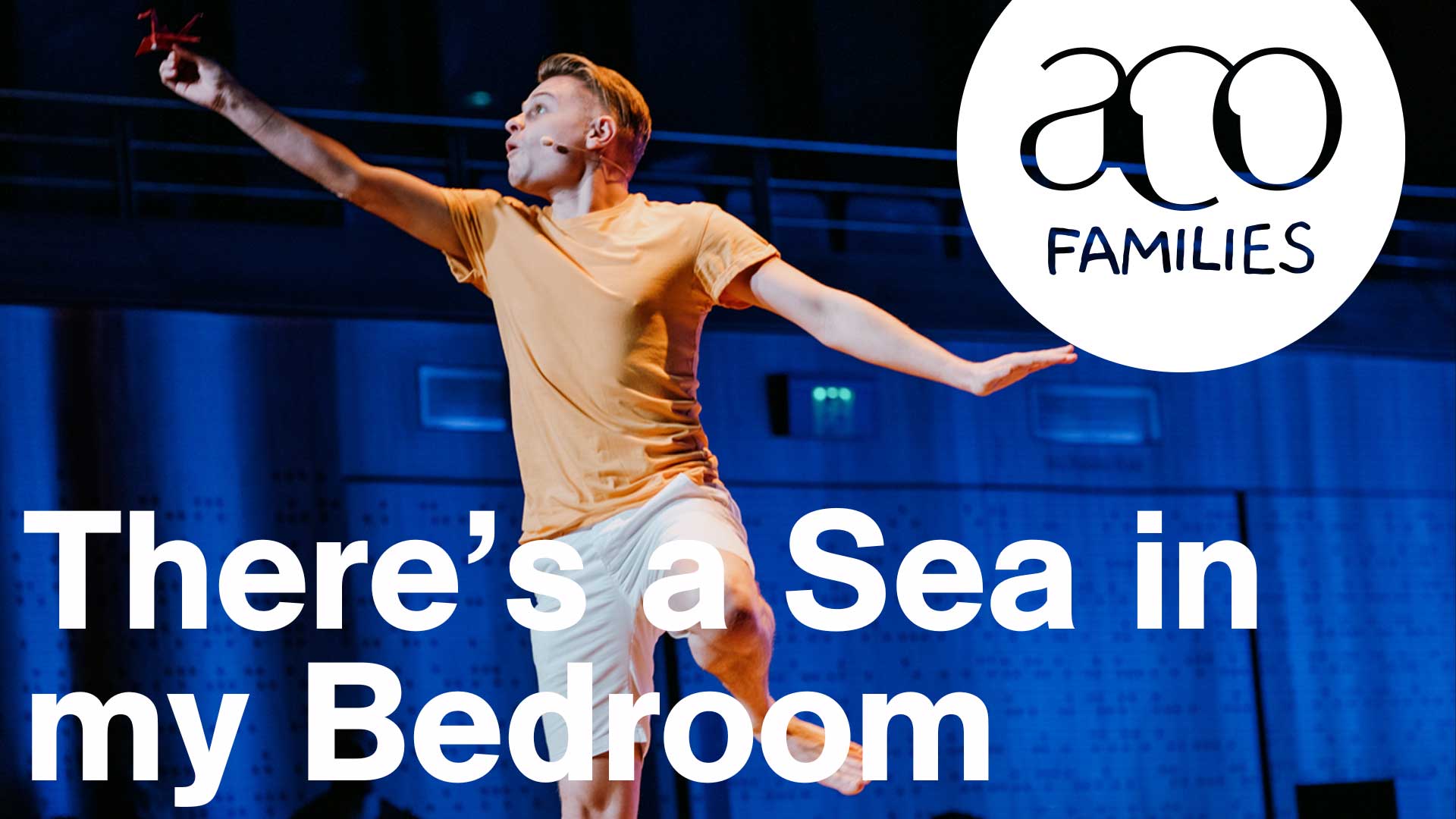 There's a Sea in my Bedroom - Australian Chamber Orchestra